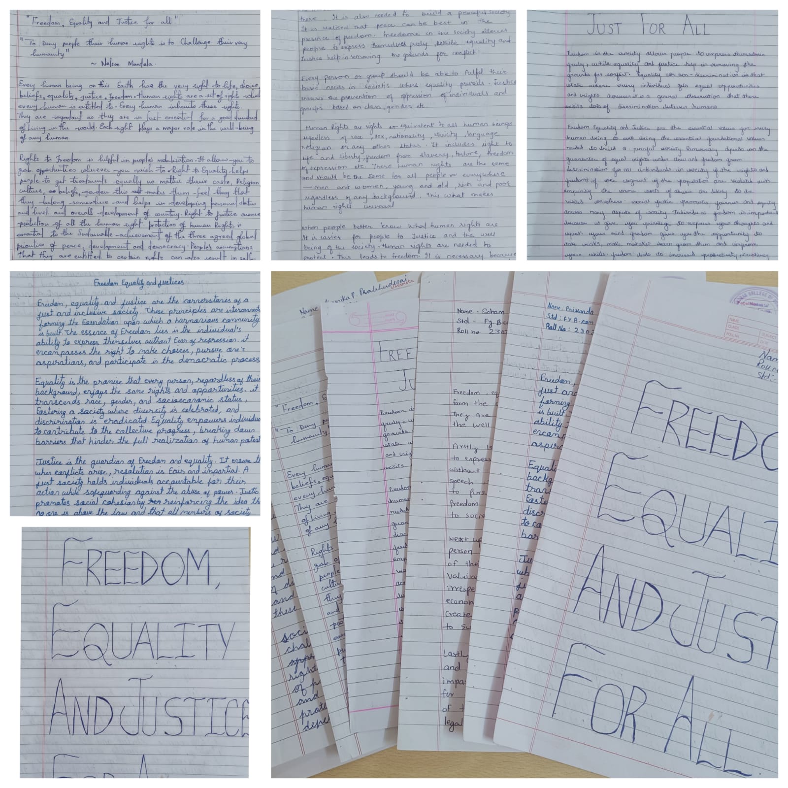 Essay Writing Competition on Human Rights Day – Shree Damodar College ...